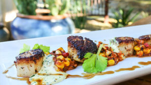 Desert Botanical Garden Admission: Tickets, Hours & More | DBG