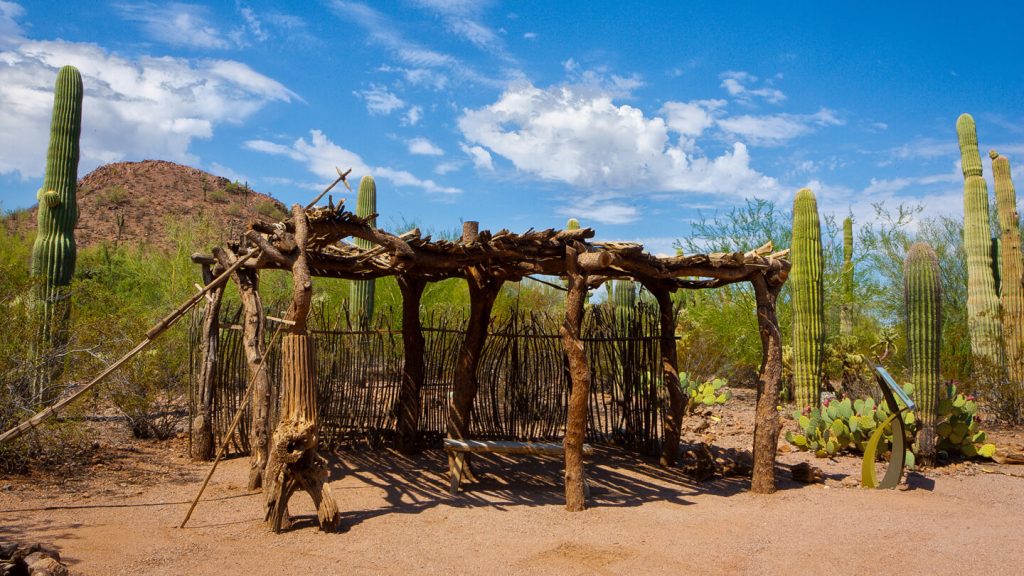 Sonoran Desert Nature Walks Trails in Phoenix | DBG