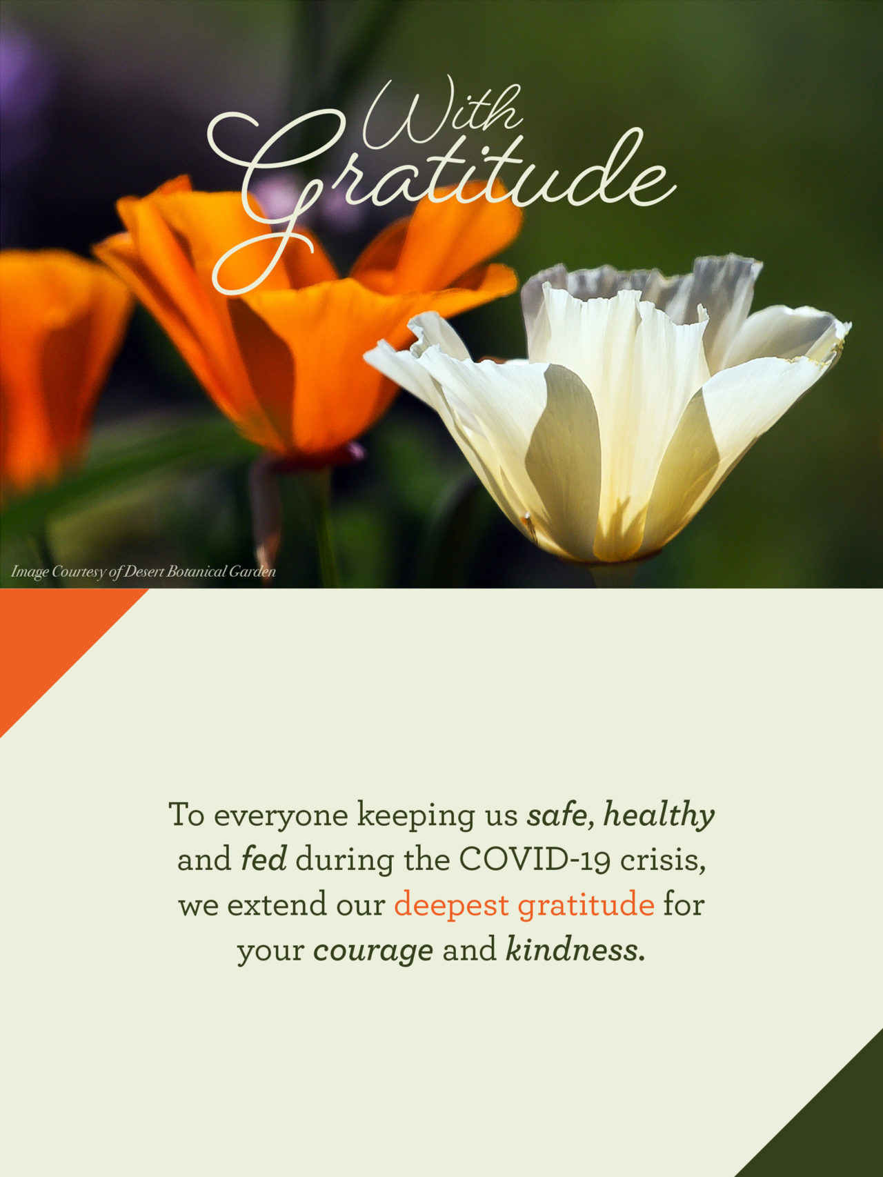 Send a Virtual Postcard | Desert Botanical Garden