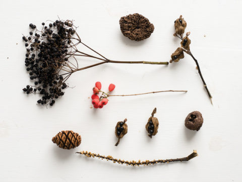 Activity | Ephemeral Nature Art | Desert Botanical Garden