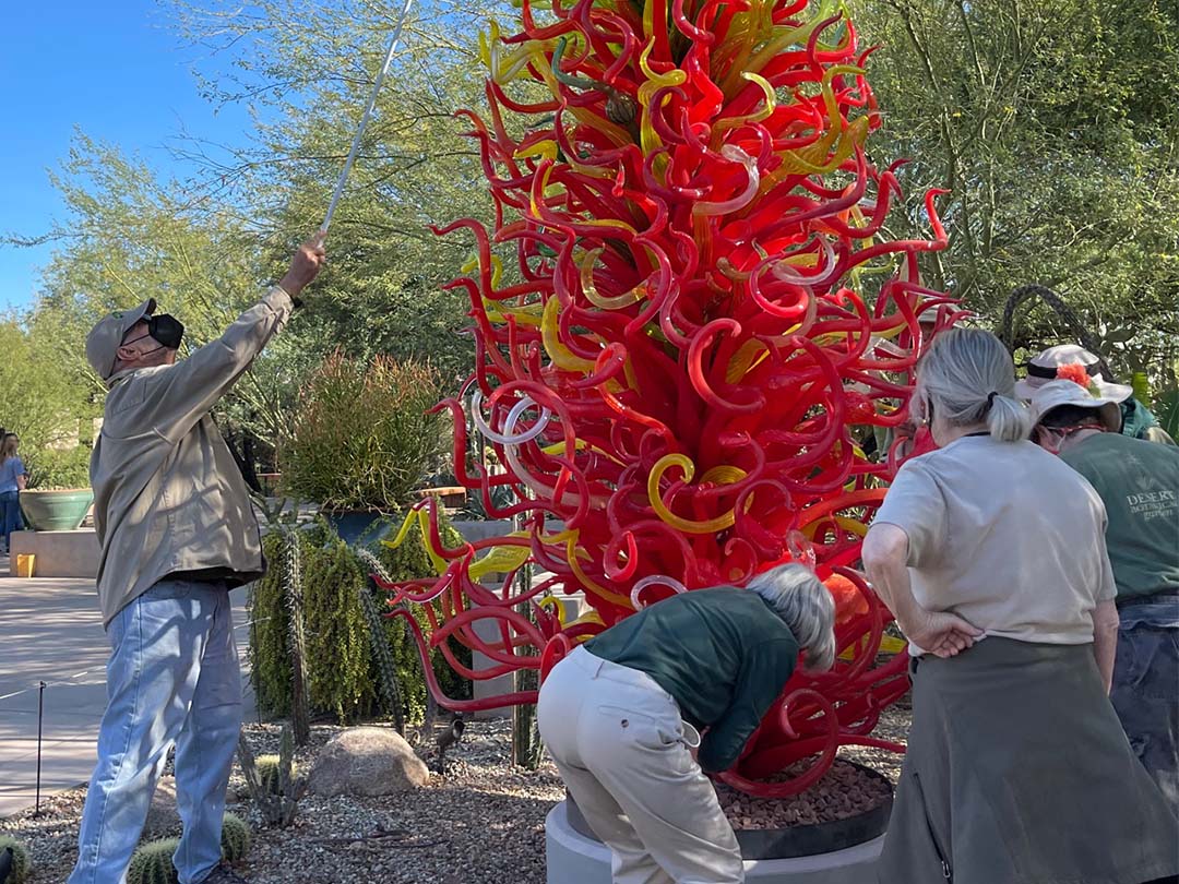 Dust Busters | Desert Botanical Garden