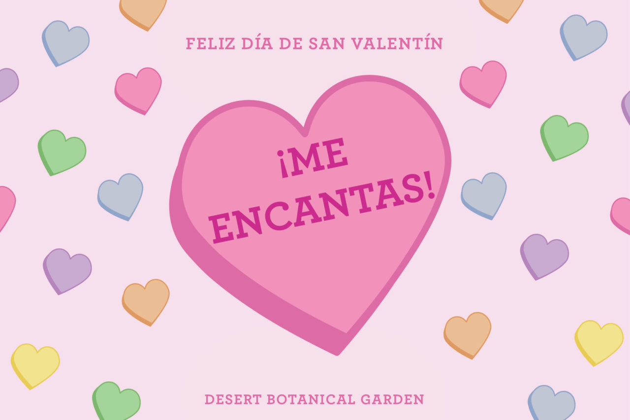 Valentine's Day Digital Cards | Desert Botanical Garden