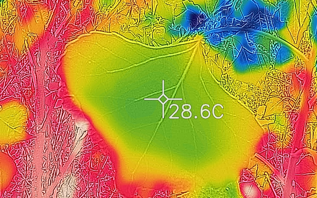 Updates, news, activities and more from the Garden to your home.