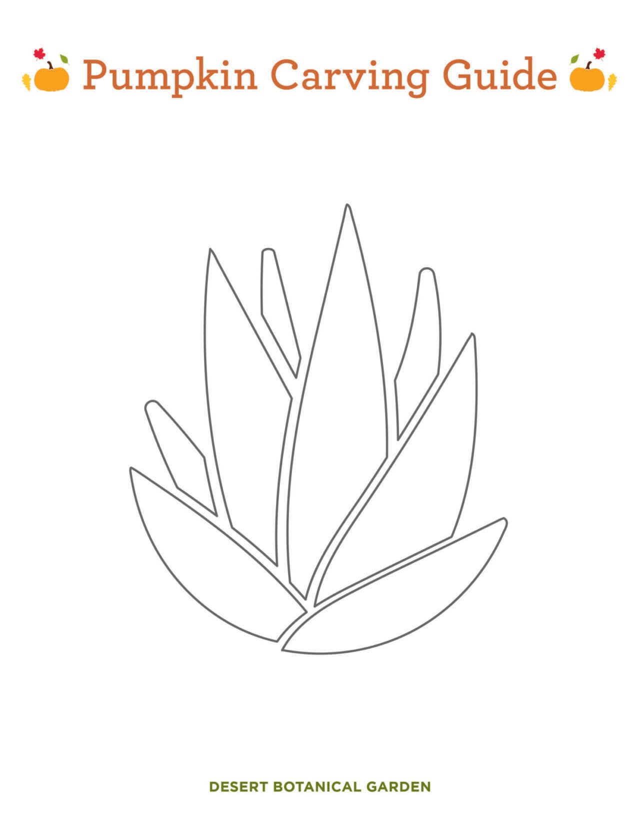 Pumpkin Carving Guide | Desert Botanical Garden