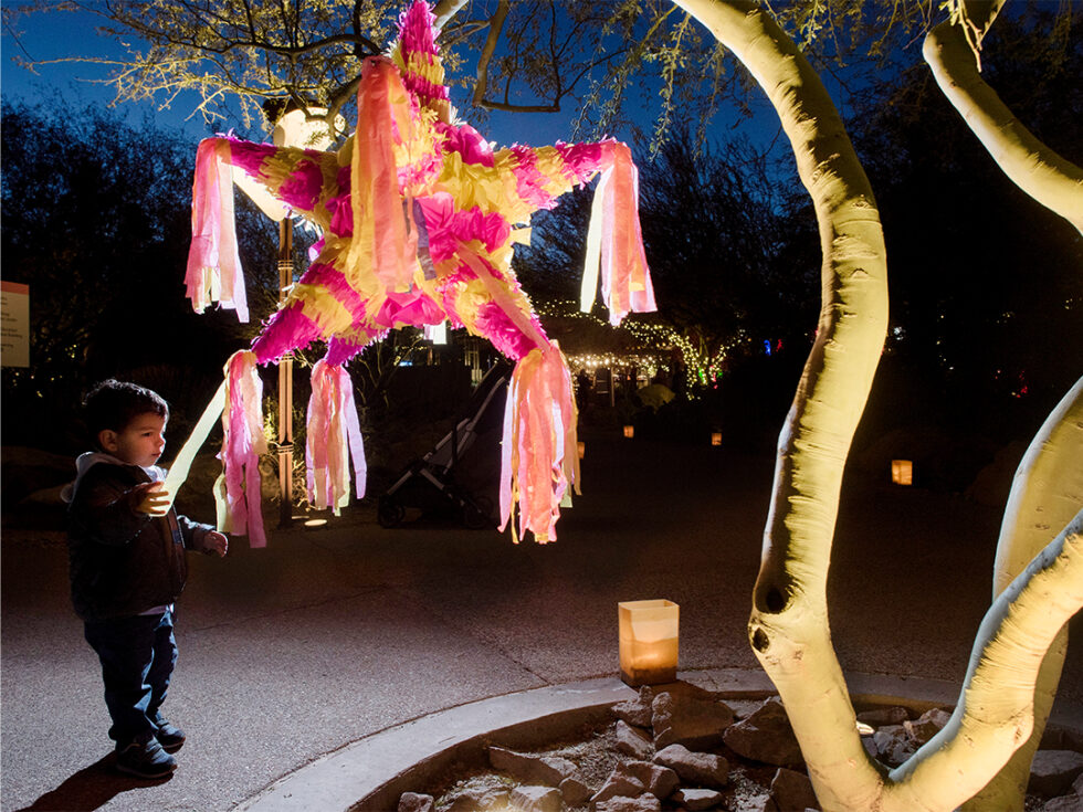 The History and Traditions of La Posada | Desert Botanical Garden