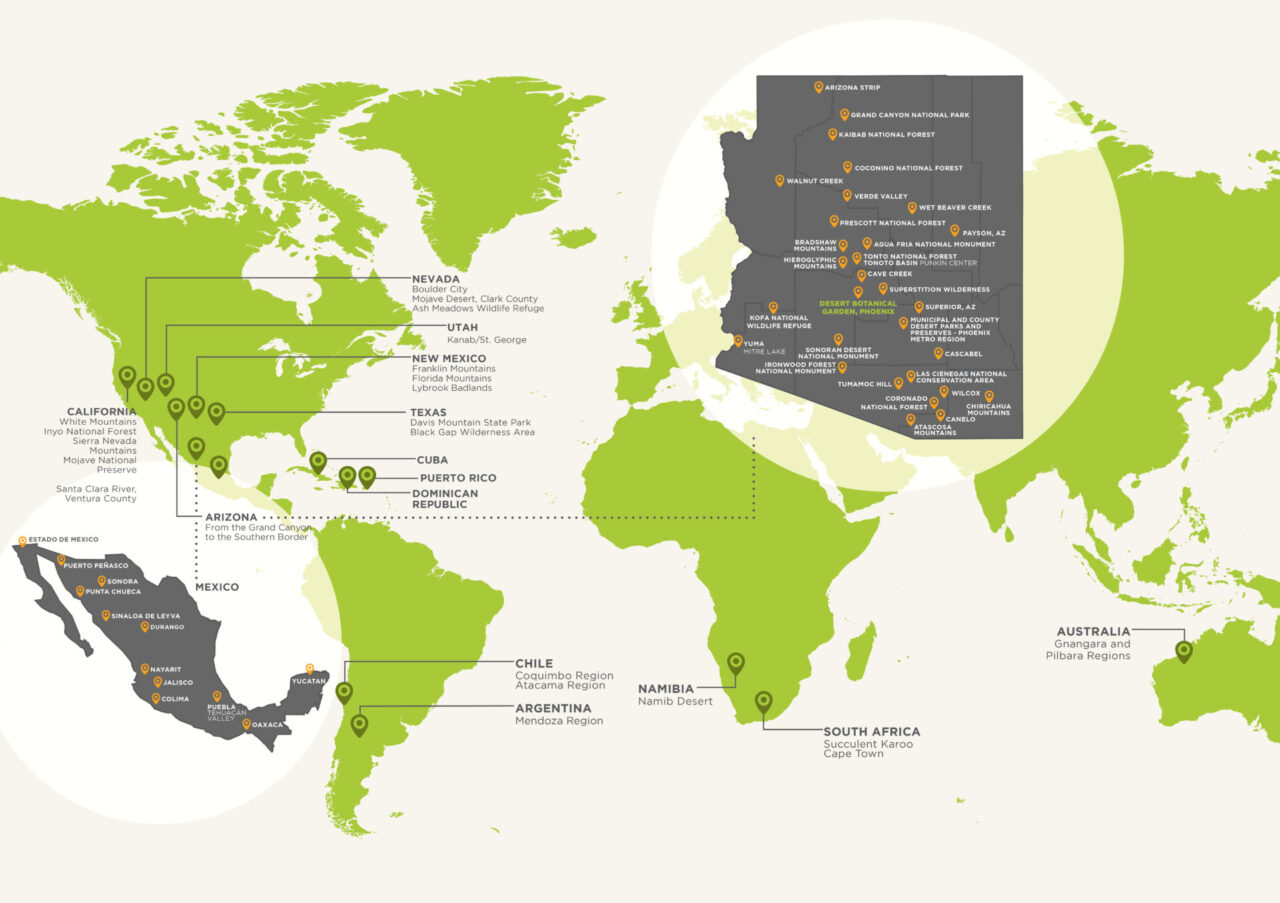 Local & Global Desert Conservation Efforts | Desert Botanical Garden