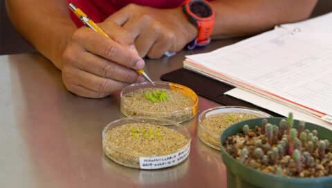 Desert Botanical Garden Plant Research & Conservation Center