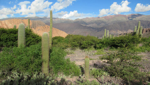 Desert Botanical Garden Plant Research & Conservation Center