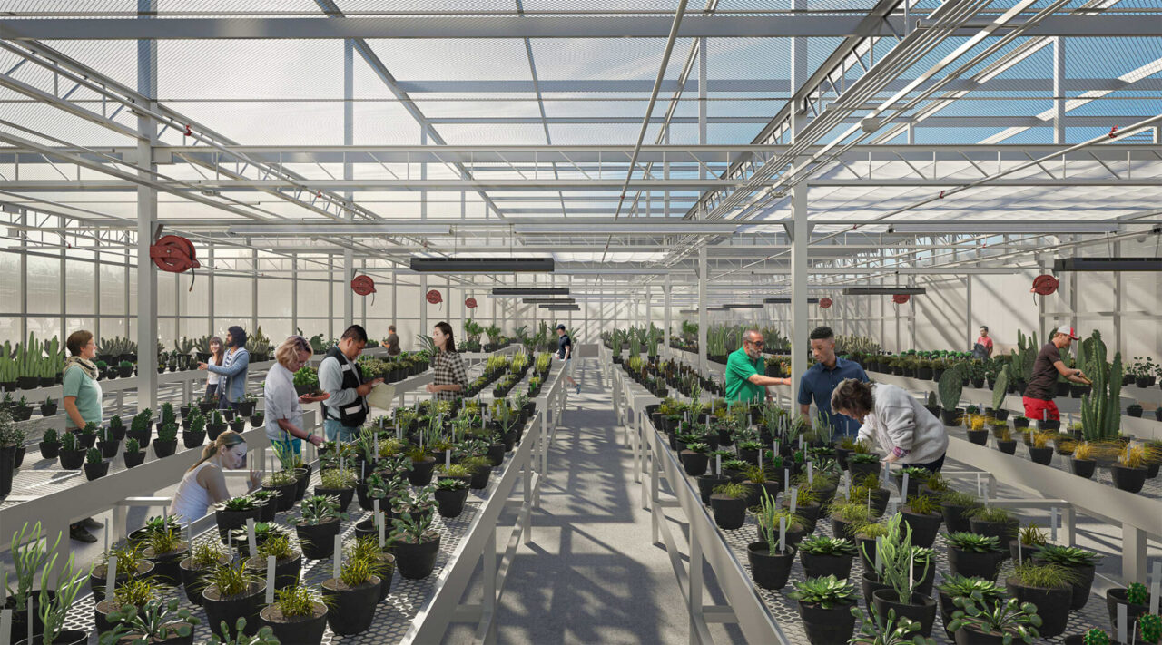 Desert Botanical Garden Plants: Coming Soon | Hazel Hare Center for ...
