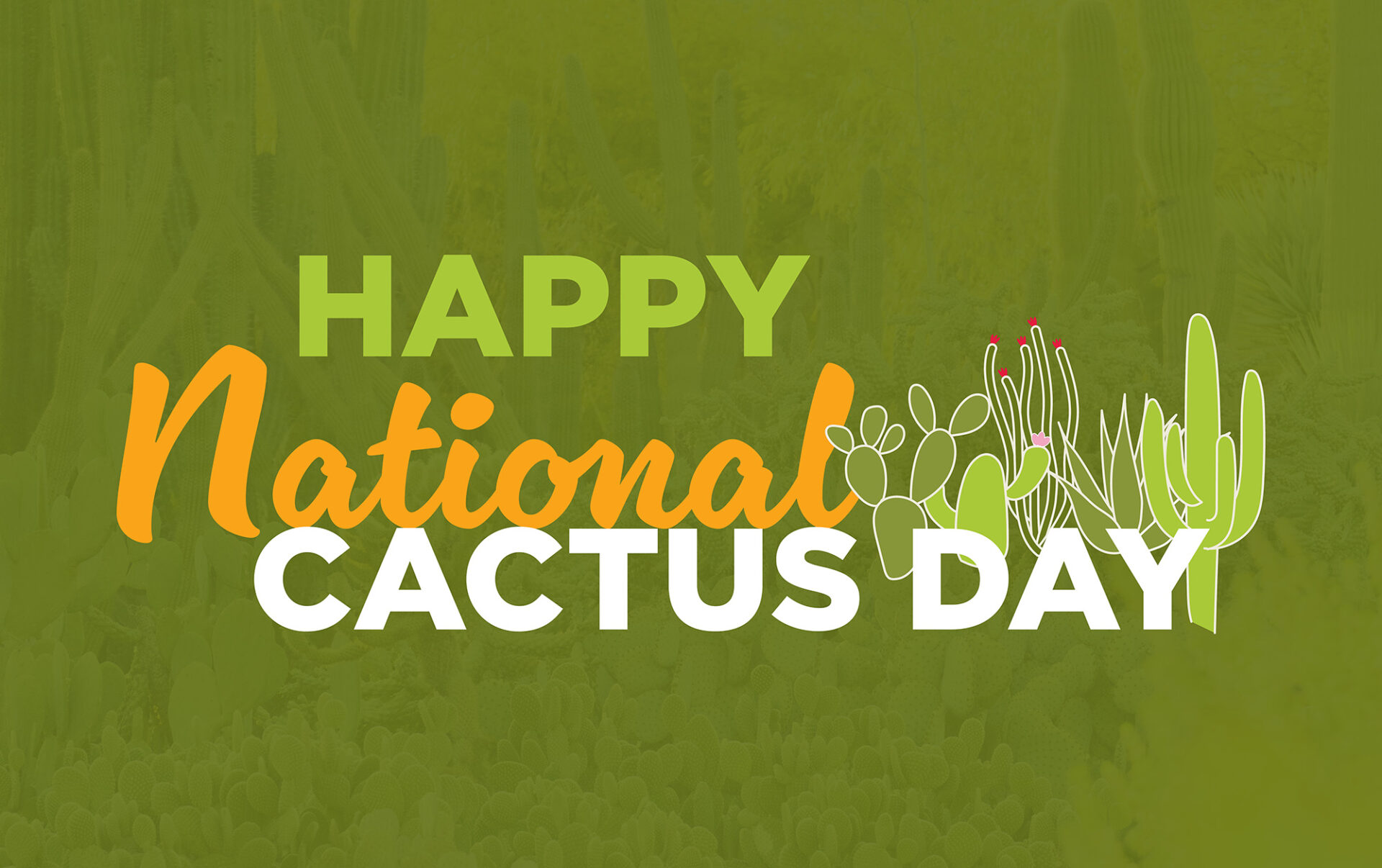 Desert Botanical Garden Admission: Tickets, Hours & More | DBG