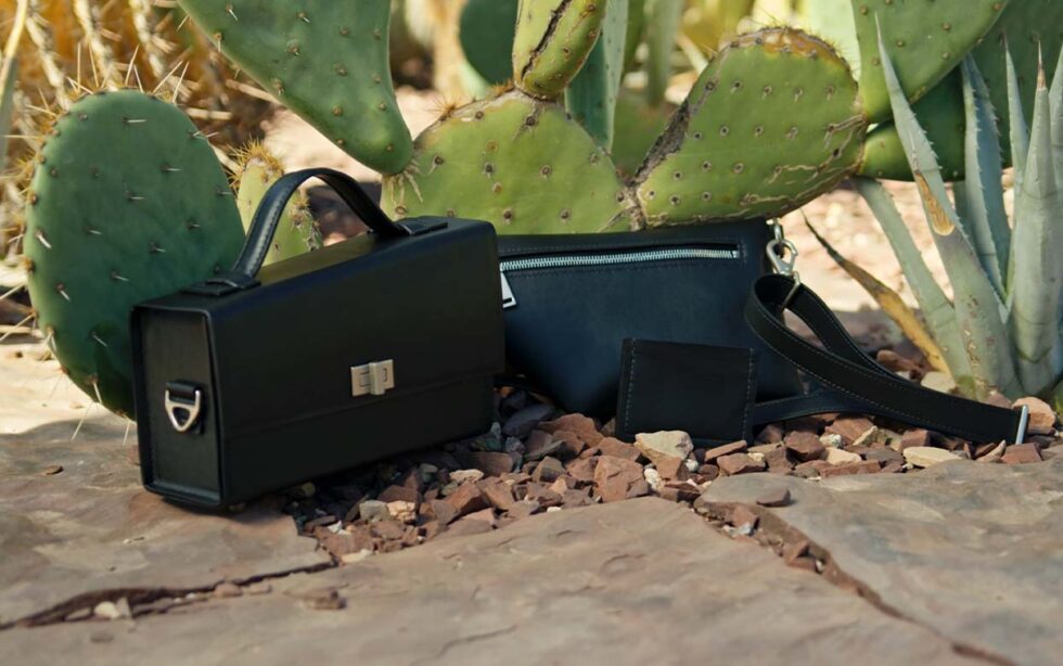 Celebrating 85 Years of the Garden: Amazing Uses for Cactus | Desert ...