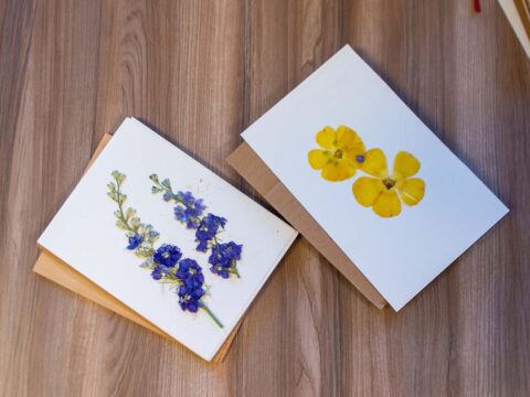 Plant Pressing | Desert Botanical Garden