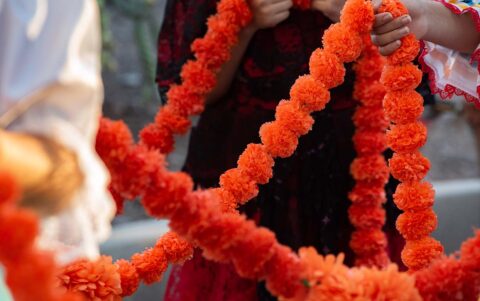 The Legend of the Cempasúchil: An Eternal Love | Desert Botanical Garden