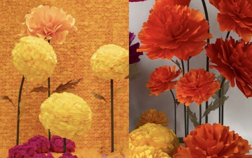 The Legend of the Cempasúchil: An Eternal Love | Desert Botanical Garden