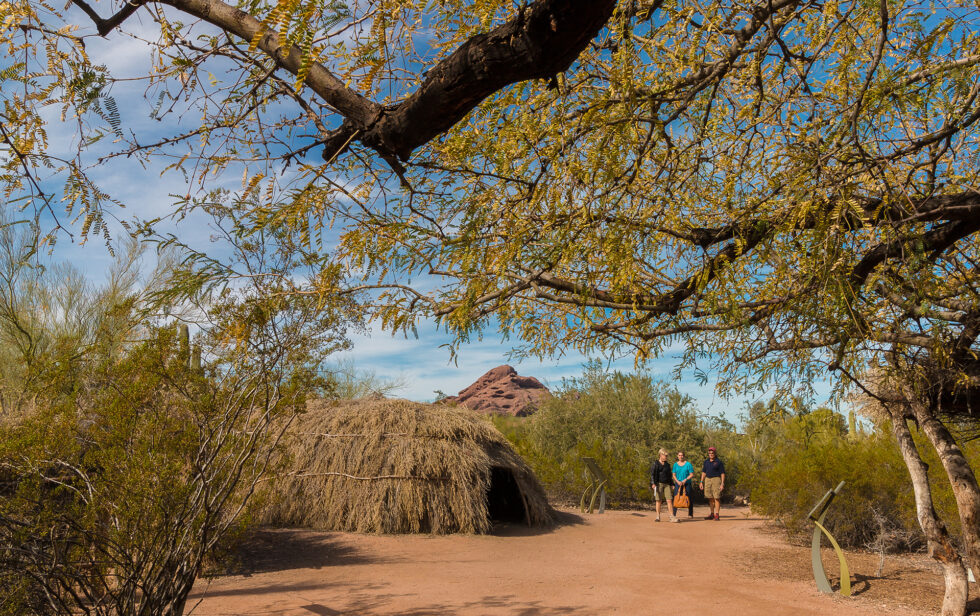 Sonoran Desert Nature Walks Trails in Phoenix | DBG