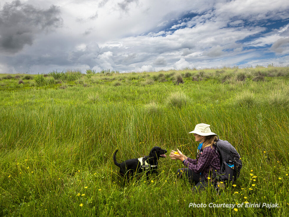 Research Canines are Helping the Garden Find These Rare and Endangered ...