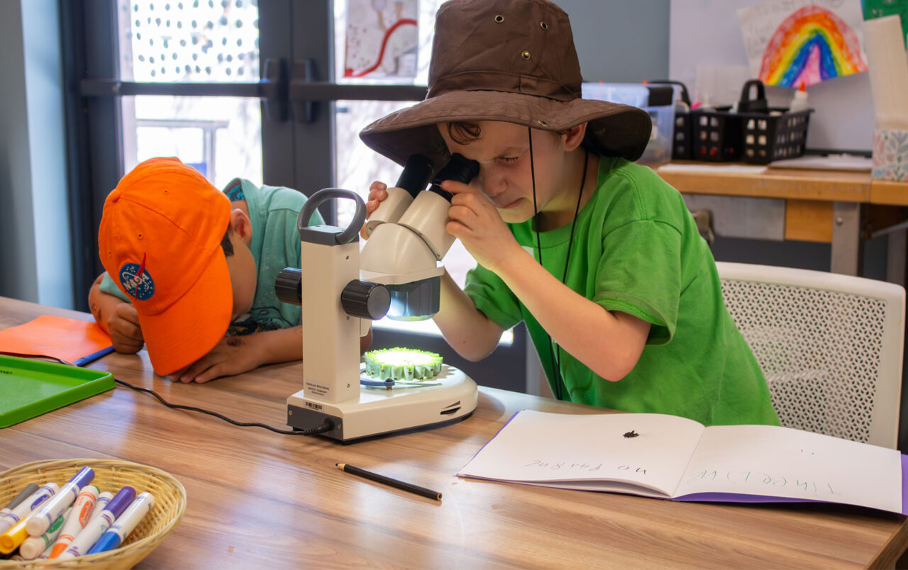 Desert Discovery Camps 2025 | Desert Botanical Garden