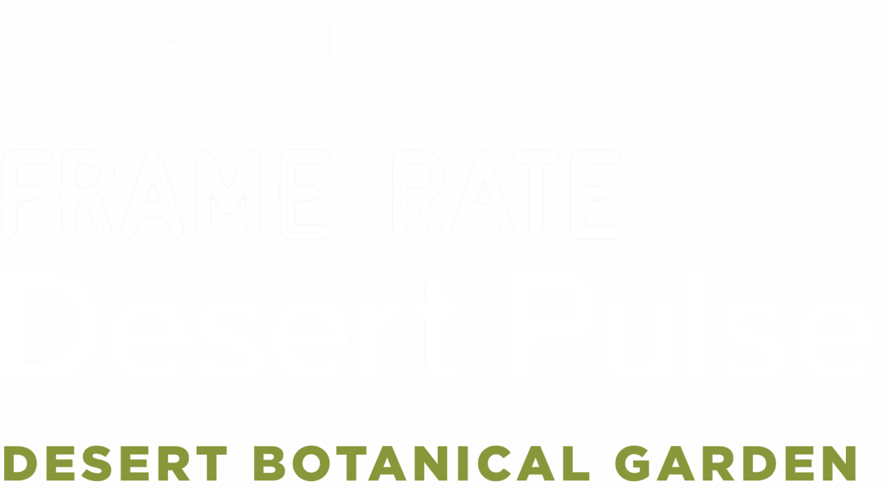 Desert Pulse | Desert Botanical Garden