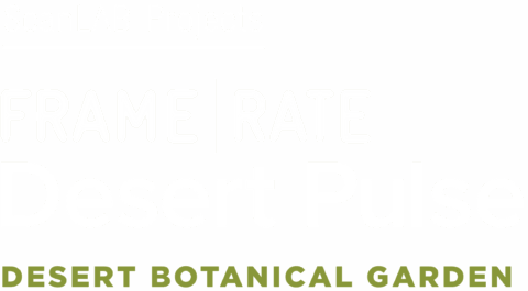 Desert Pulse | Desert Botanical Garden