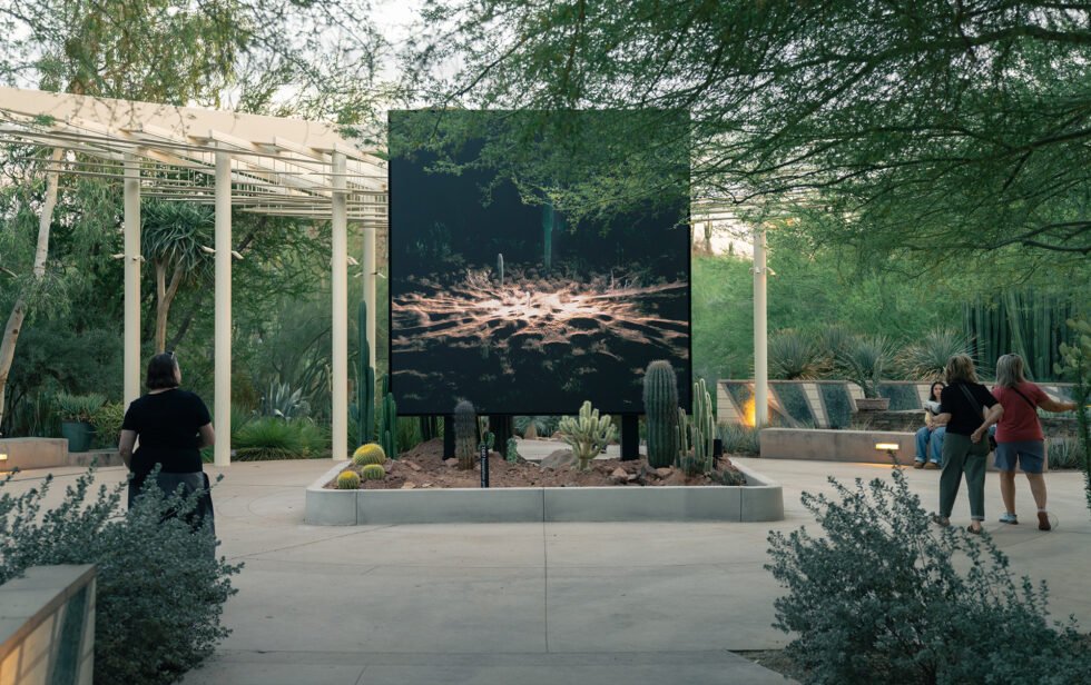 Framerate: Desert Pulse | Desert Botanical Garden