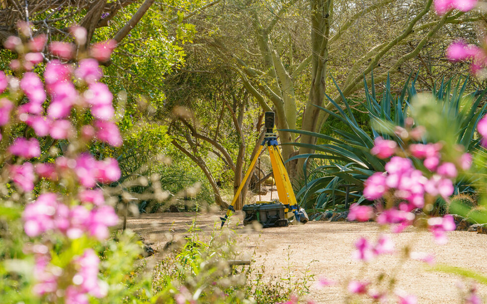 Adult Education: Art, Photography, Botanical Garden Classes | DBG