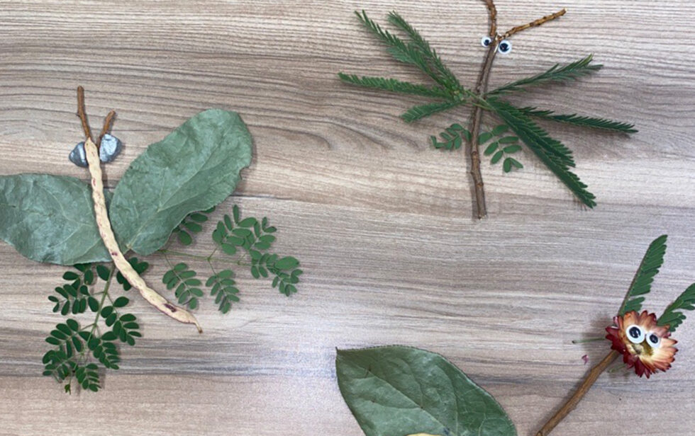 Home and Garden Blog | Desert Botanical Garden